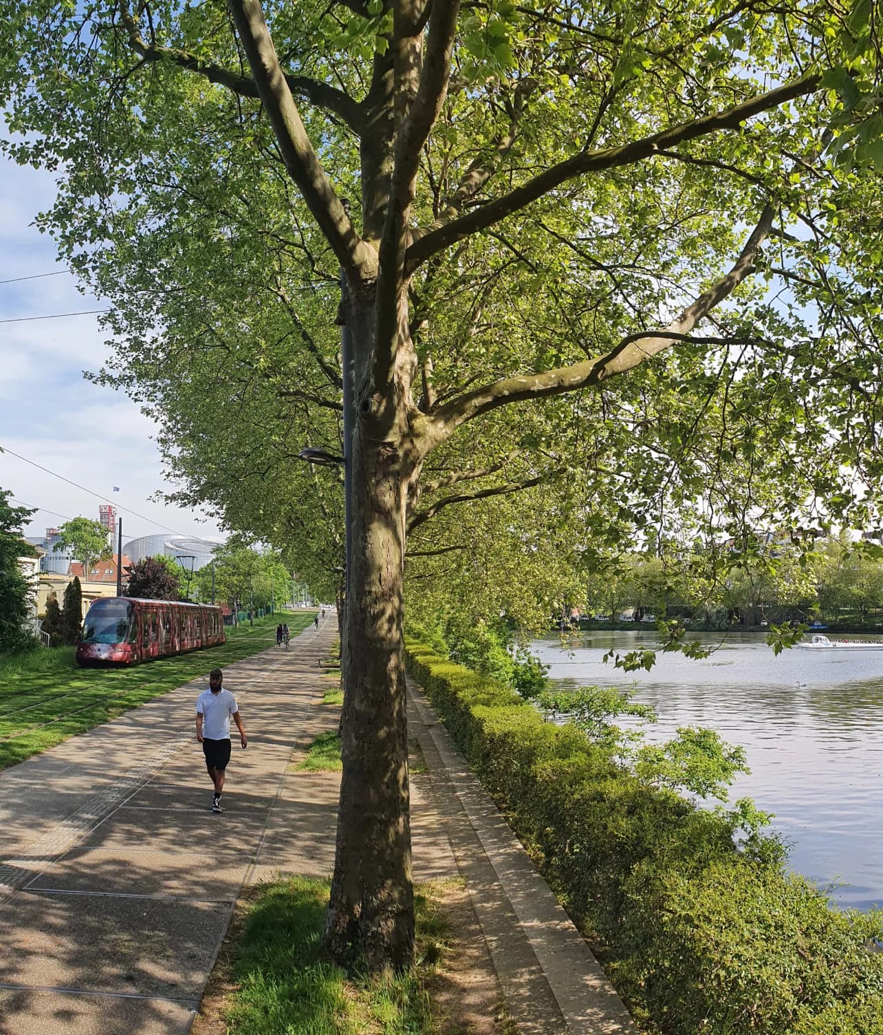 Notre société | SERUE Ingenierie