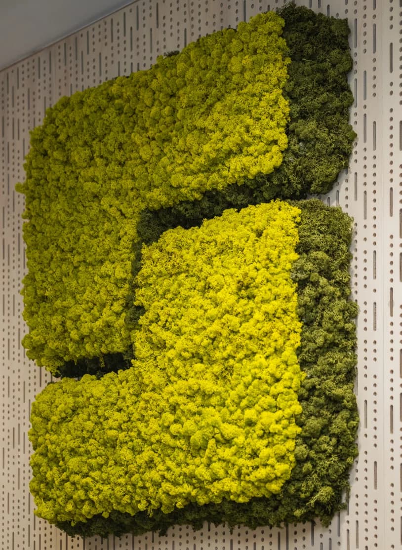 Notre société | SERUE Ingenierie